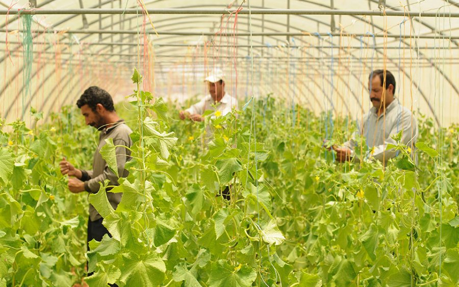 Jordan River Community Empowerment Program | Jordan River Foundation